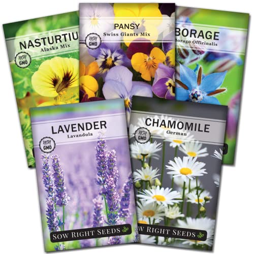 Sow Right Seeds - Edible Flower Seed Collection for Planting - Individual Packets Nasturtium Alaska, Pansy, Lavender, German Chamomile, and Borage, Non-GMO Heirloom Seed to Grow a Tasty Flower Garden