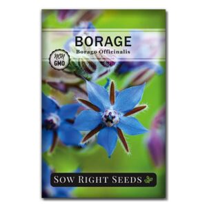 Sow Right Seeds - Edible Flower Seed Collection for Planting - Individual Packets Nasturtium Alaska, Pansy, Lavender, German Chamomile, and Borage, Non-GMO Heirloom Seed to Grow a Tasty Flower Garden