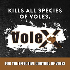 VoleX - Effective Against All Species of Voles. Safe for use Around People, Pets, Livestock, and Wildlife (3 Pound)