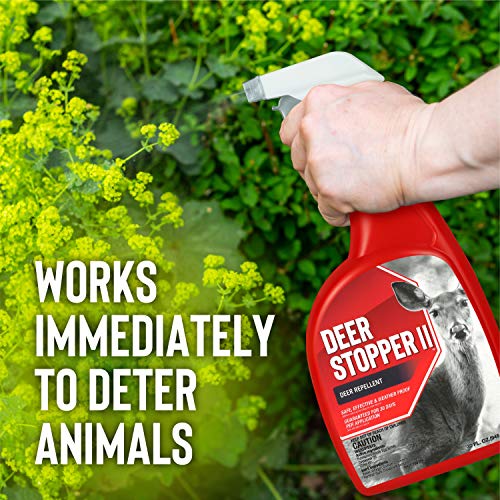 Deer Stopper II Repellent - Safe & Effective, All Natural Food Grade Ingredients; Repels Deer Elk, and Moose; Ready to Use, 2.5 Gallon Liquid Refill Bottle