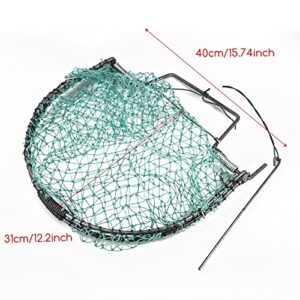 16" Pigeon Bird Trap,Humane Live Bird Traps for Small Birds Pigeons Sparrow Quail Hunting Cage Traps