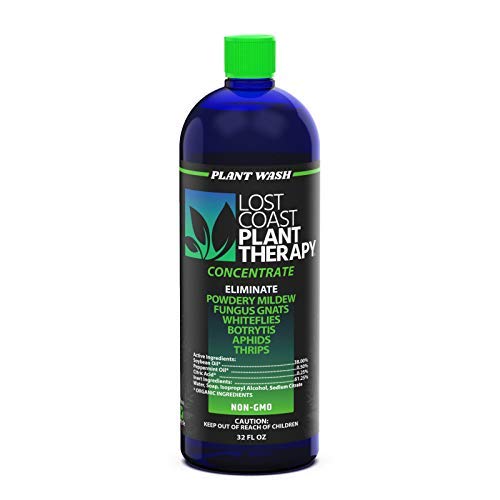 Plant Wash Lost Coast Plant Theraphy Concentrate 32 floz (Packaging May Vary)