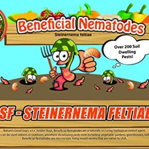 NaturesGoodGuys Beneficial Nematodes SF Steinernema feltiae - 50 million