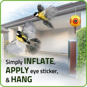 De-Bird Bundle Includes: Balloon Bird Repellent 3-Pk Scary Eye Balloons to Keep Birds Away & Heavy Duty Bird Netting to Protect Plants