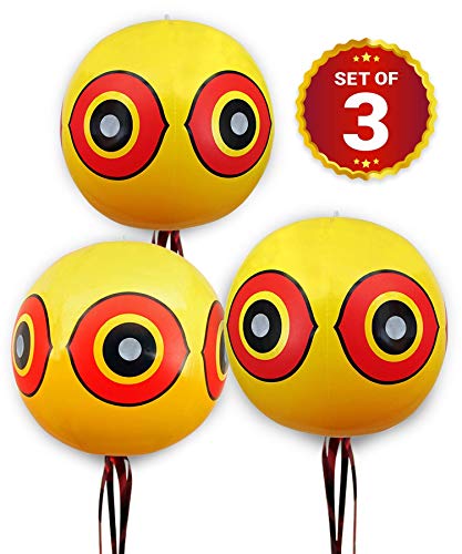 De-Bird Bundle Includes: Balloon Bird Repellent 3-Pk Scary Eye Balloons to Keep Birds Away & Heavy Duty Bird Netting to Protect Plants