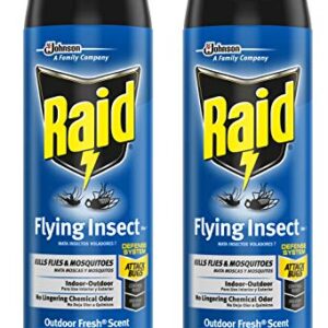 Raid Flying Insect Killer (15 Ounce (Pack of 2))