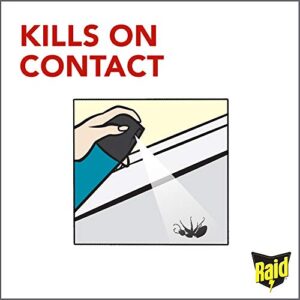 Raid Flying Insect Killer (15 Ounce (Pack of 2))