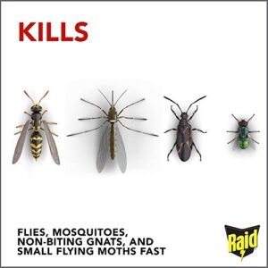 Raid Flying Insect Killer (15 Ounce (Pack of 2))