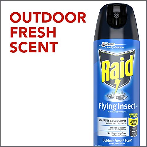 Raid Flying Insect Killer (15 Ounce (Pack of 2))