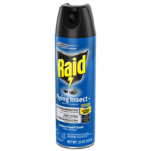 Raid Flying Insect Killer (15 Ounce (Pack of 2))