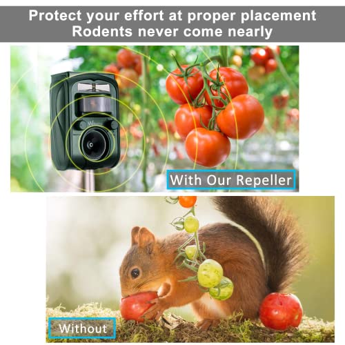 OULAIZ Solar Animal Repeller, 2022 Ultrasonic Mole Repellent, Rat, Squirrel, Deer, Raccoon, Skunk, Rabbit, Mole, Dog, Cat, Waterproof with Motion Detector, USB Rechargeable, Flashing Light