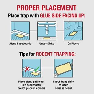 Heavy-Duty Rat Mouse Snake & Insect Glue Trap by Catchmaster - 6 Pre-Baited Trays with Hercules Putty Fastener, Ready to Use Indoors. Floor Anchor Sticky Adhesive Non-Toxic - Made in The USA