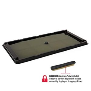 Heavy-Duty Rat Mouse Snake & Insect Glue Trap by Catchmaster - 6 Pre-Baited Trays with Hercules Putty Fastener, Ready to Use Indoors. Floor Anchor Sticky Adhesive Non-Toxic - Made in The USA