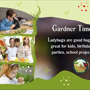 Gardner Time 3000 Live Ladybugs - Good Bugs for Garden - Ladybugs - Guaranteed Live Delivery