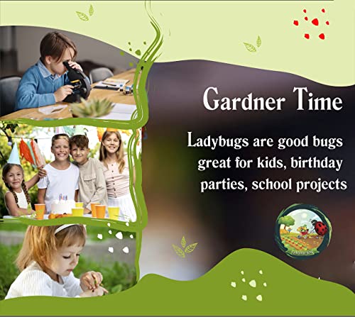 Gardner Time 3000 Live Ladybugs - Good Bugs for Garden - Ladybugs - Guaranteed Live Delivery