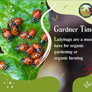 Gardner Time 3000 Live Ladybugs - Good Bugs for Garden - Ladybugs - Guaranteed Live Delivery