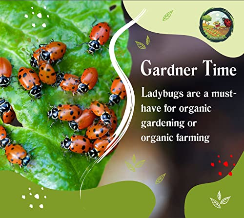 Gardner Time 3000 Live Ladybugs - Good Bugs for Garden - Ladybugs - Guaranteed Live Delivery