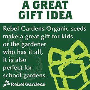 Kitchen Garden Seed Collection - Certified Organic Herb & Vegetable Seeds - 14 Varieties of Non-GMO, Heirloom, Home Garden Seeds for Planting - Basil, Tomato, Spinach, Cilantro, & More