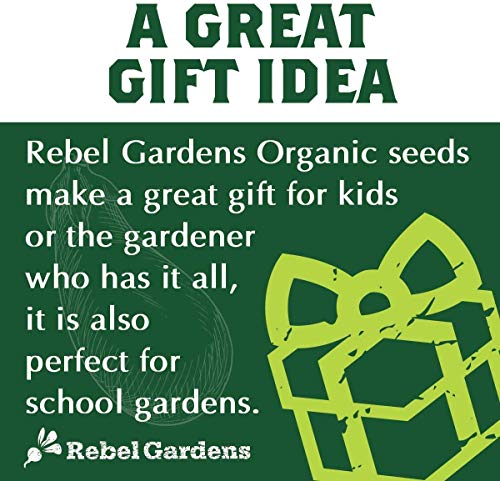 Kitchen Garden Seed Collection - Certified Organic Herb & Vegetable Seeds - 14 Varieties of Non-GMO, Heirloom, Home Garden Seeds for Planting - Basil, Tomato, Spinach, Cilantro, & More