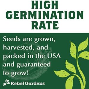 Kitchen Garden Seed Collection - Certified Organic Herb & Vegetable Seeds - 14 Varieties of Non-GMO, Heirloom, Home Garden Seeds for Planting - Basil, Tomato, Spinach, Cilantro, & More