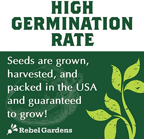 Kitchen Garden Seed Collection - Certified Organic Herb & Vegetable Seeds - 14 Varieties of Non-GMO, Heirloom, Home Garden Seeds for Planting - Basil, Tomato, Spinach, Cilantro, & More