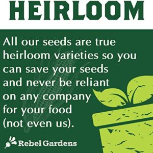 Kitchen Garden Seed Collection - Certified Organic Herb & Vegetable Seeds - 14 Varieties of Non-GMO, Heirloom, Home Garden Seeds for Planting - Basil, Tomato, Spinach, Cilantro, & More