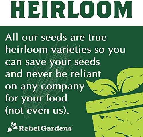 Kitchen Garden Seed Collection - Certified Organic Herb & Vegetable Seeds - 14 Varieties of Non-GMO, Heirloom, Home Garden Seeds for Planting - Basil, Tomato, Spinach, Cilantro, & More