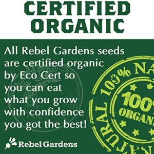 Kitchen Garden Seed Collection - Certified Organic Herb & Vegetable Seeds - 14 Varieties of Non-GMO, Heirloom, Home Garden Seeds for Planting - Basil, Tomato, Spinach, Cilantro, & More