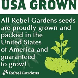 Kitchen Garden Seed Collection - Certified Organic Herb & Vegetable Seeds - 14 Varieties of Non-GMO, Heirloom, Home Garden Seeds for Planting - Basil, Tomato, Spinach, Cilantro, & More