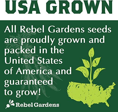 Kitchen Garden Seed Collection - Certified Organic Herb & Vegetable Seeds - 14 Varieties of Non-GMO, Heirloom, Home Garden Seeds for Planting - Basil, Tomato, Spinach, Cilantro, & More