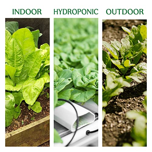 Seedra.US 4 Spinach Seeds Variety Pack - 305+ Non GMO, Heirloom Seeds for Indoor Outdoor Hydroponic Home Garden - Bloomsdale, New Zealand, Space, Virofly