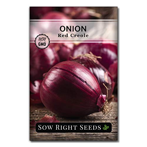 Sow Right Seeds - Salsa Seed Collection for Planting - Jalapeno, Cilantro, Roma Tomato, Tomatillo, and Red Onion - Non-GMO Heirloom Seeds with Instructions to Plant Your Own Home Vegetable Garden