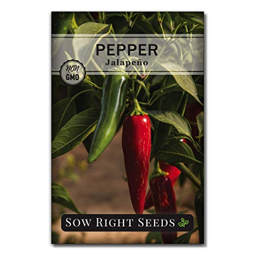 Sow Right Seeds - Salsa Seed Collection for Planting - Jalapeno, Cilantro, Roma Tomato, Tomatillo, and Red Onion - Non-GMO Heirloom Seeds with Instructions to Plant Your Own Home Vegetable Garden