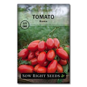 Sow Right Seeds - Salsa Seed Collection for Planting - Jalapeno, Cilantro, Roma Tomato, Tomatillo, and Red Onion - Non-GMO Heirloom Seeds with Instructions to Plant Your Own Home Vegetable Garden