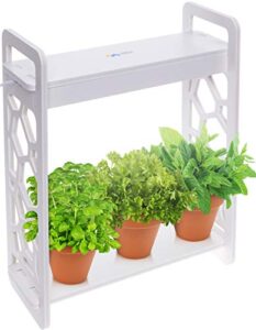 mindful design led indoor herb garden with timer – at home mini planter kit for herbs, succulents, and vegetables w/hexagon cutout (white)