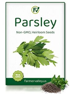 parsley seeds for planting home garden herbs – non-gmo, non-hybrid, untreated, and usa grown variety – individual pack of 550+ heirloom seeds, suitable for outdoors, indoors, and hydroponics