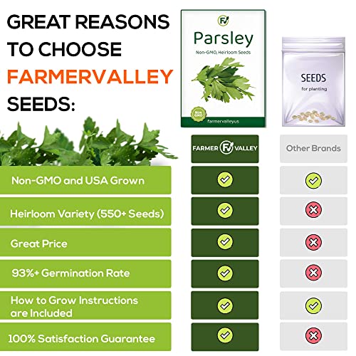 Parsley Seeds for Planting Home Garden Herbs - Non-GMO, Non-Hybrid, Untreated, and USA Grown Variety - Individual Pack of 550+ Heirloom Seeds, Suitable for Outdoors, Indoors, and Hydroponics