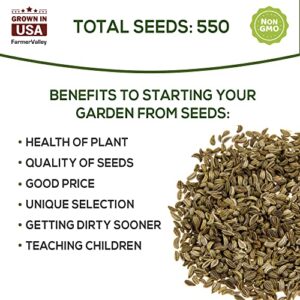 Parsley Seeds for Planting Home Garden Herbs - Non-GMO, Non-Hybrid, Untreated, and USA Grown Variety - Individual Pack of 550+ Heirloom Seeds, Suitable for Outdoors, Indoors, and Hydroponics