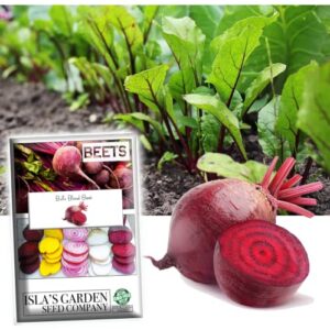 bull’s blood beet seeds for planting, 100+ heirloom seeds per packet, (isla’s garden seeds), non gmo seeds, botanical name: beta vulgaris, great home garden gift