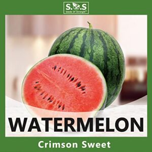 5 Variety Melon Fruit Seeds Packets - Crimson Watermelon, Green Honeydew Melon, Melothria scabra, Cantaloupe and Yellow Watermelon for Your Fruit Garden W/Gift Box Planting Instructions