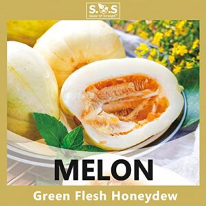 5 Variety Melon Fruit Seeds Packets - Crimson Watermelon, Green Honeydew Melon, Melothria scabra, Cantaloupe and Yellow Watermelon for Your Fruit Garden W/Gift Box Planting Instructions