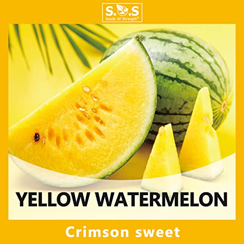 5 Variety Melon Fruit Seeds Packets - Crimson Watermelon, Green Honeydew Melon, Melothria scabra, Cantaloupe and Yellow Watermelon for Your Fruit Garden W/Gift Box Planting Instructions