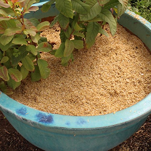 Rice Hulls - Organic Use - 5lb - House Plants – Gardening - Chicken Bedding Nesting