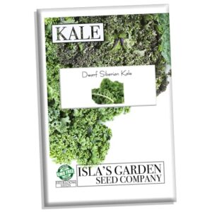 Dwarf Siberian Kale Seeds for Planting, 500+ Heirloom Seeds Per Packet, (Isla's Garden Seeds), Non GMO Seeds, Botanical Name: Brassica oleracea, Great Home Garden Gift