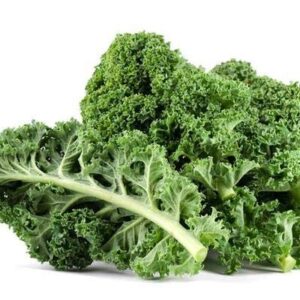 Dwarf Siberian Kale Seeds for Planting, 500+ Heirloom Seeds Per Packet, (Isla's Garden Seeds), Non GMO Seeds, Botanical Name: Brassica oleracea, Great Home Garden Gift