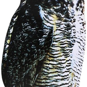 Esschert Design FB142 Owl Scare Crows Decoy