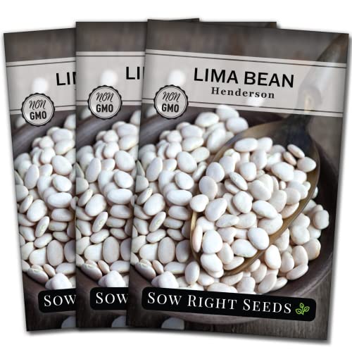 Sow Right Seeds - Henderson Lima Bean Seed for Planting - Non-GMO Heirloom Packet with Instructions to Plant a Home Vegetable Garden (3)