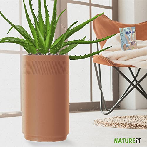 Aloe Vera Grow kit - Comes with Terracotta Planter. Grow an Aloe Vera Succulent Plant from Seed. Perfect for Garden Enthusiasts, Indoor & Outdoor Growing, a Must-Have for Any Plant Lover