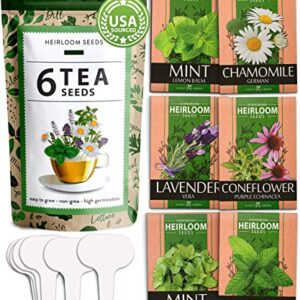 Medicinal Herb Seeds Collection | 6 Heirloom Tea Seeds | Non GMO Lavender, Chamomile, Mint Seeds for Planting Outdoors & Indoors - Lemon Balm, Peppermint, Echinacea | Gardening Gifts for Women & Men