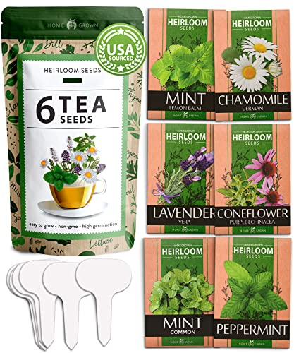 Medicinal Herb Seeds Collection | 6 Heirloom Tea Seeds | Non GMO Lavender, Chamomile, Mint Seeds for Planting Outdoors & Indoors - Lemon Balm, Peppermint, Echinacea | Gardening Gifts for Women & Men